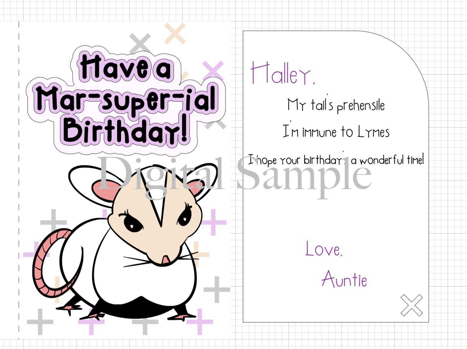 Opossum Birthday Card Customizable Personalized and Cute - Etsy