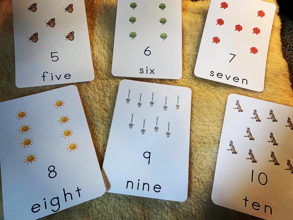 Number Counting Cards 0-20 for Wall Decor or Math Work | Etsy