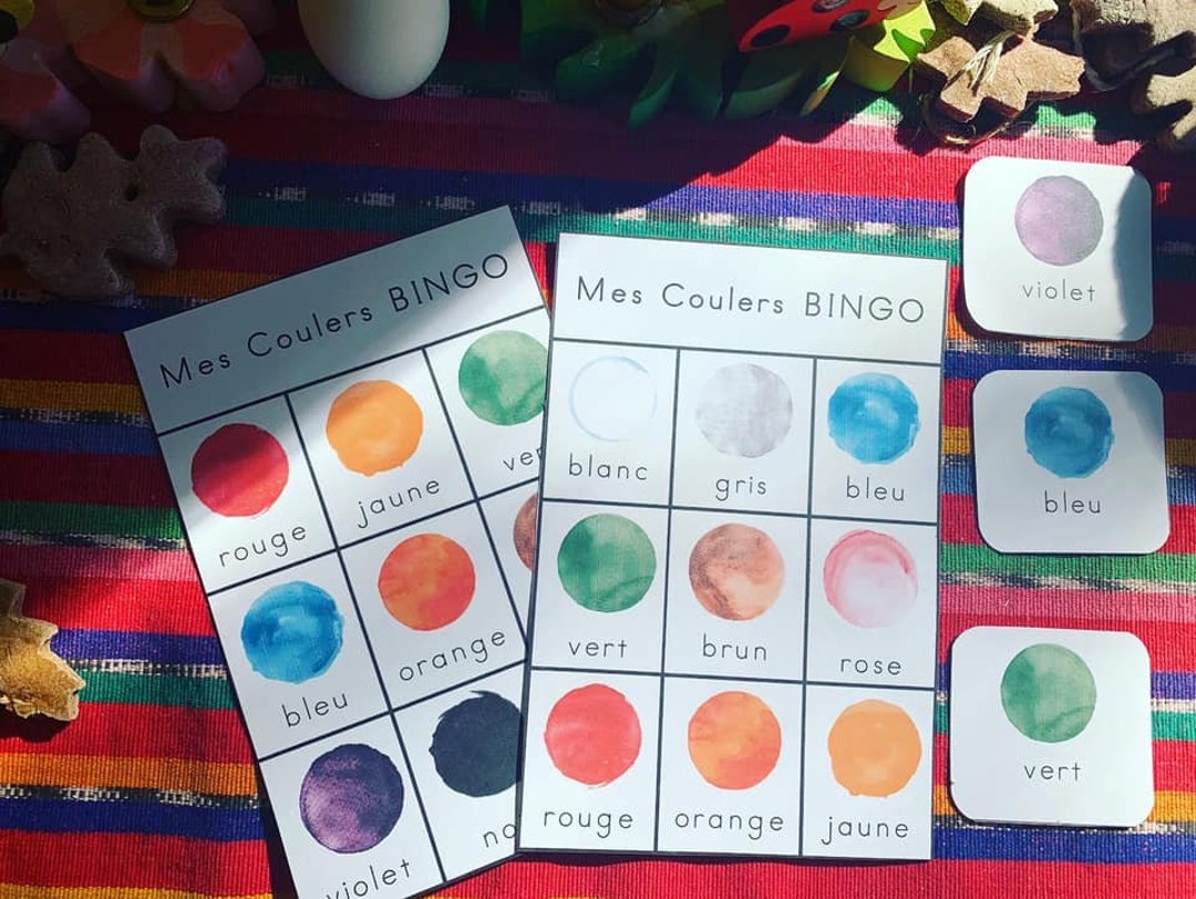 French Color Word Bingo - Etsy