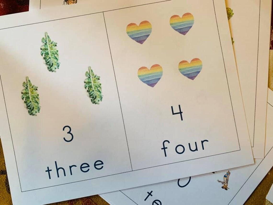 Number Counting Cards 0-20 for Wall Decor or Math Work | Etsy