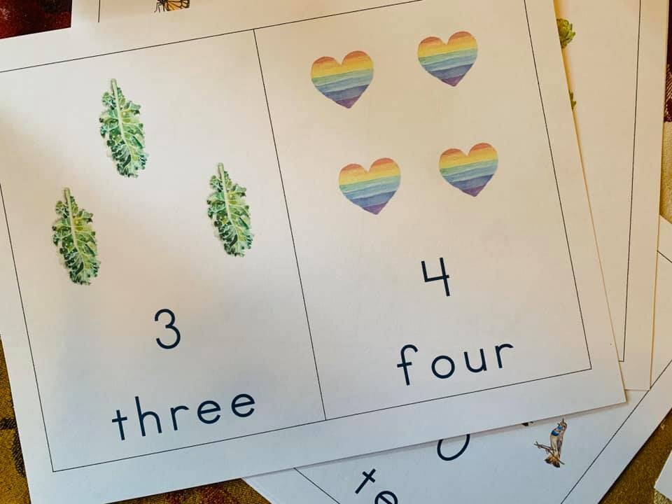 Number Counting Cards 0-20 for Wall Decor or Math Work | Etsy