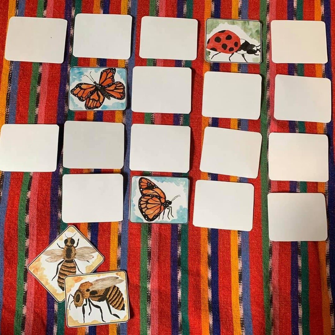 Pollinator Memory Matching Game, Info Cards, and Compare and Contrast ...