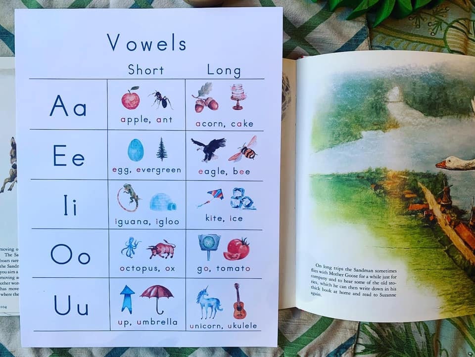 Vowels - Short and Long, Poster for Decoration and Learning Resource as ...