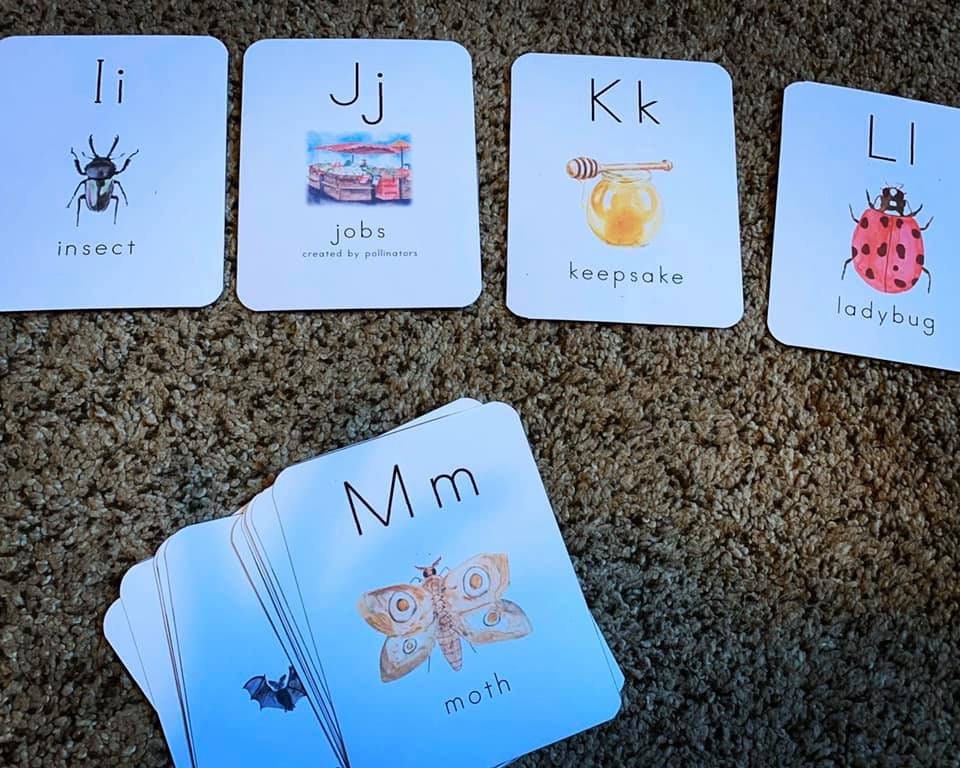 Pollinator ABC Cards, Letter Cards, ABC Cards, Alphabet Flash Cards ...
