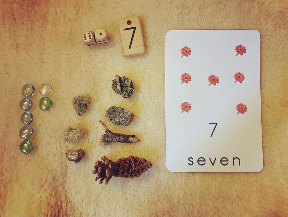 Number Counting Cards 0-20 for Wall Decor or Math Work | Etsy