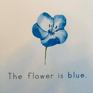 Sight Word and Color Prek-1 Reader Pollinators - Etsy