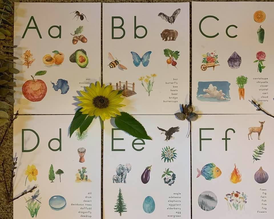 A-M Letter Sound Readers, Poster, Montessori Three Part Cards ...