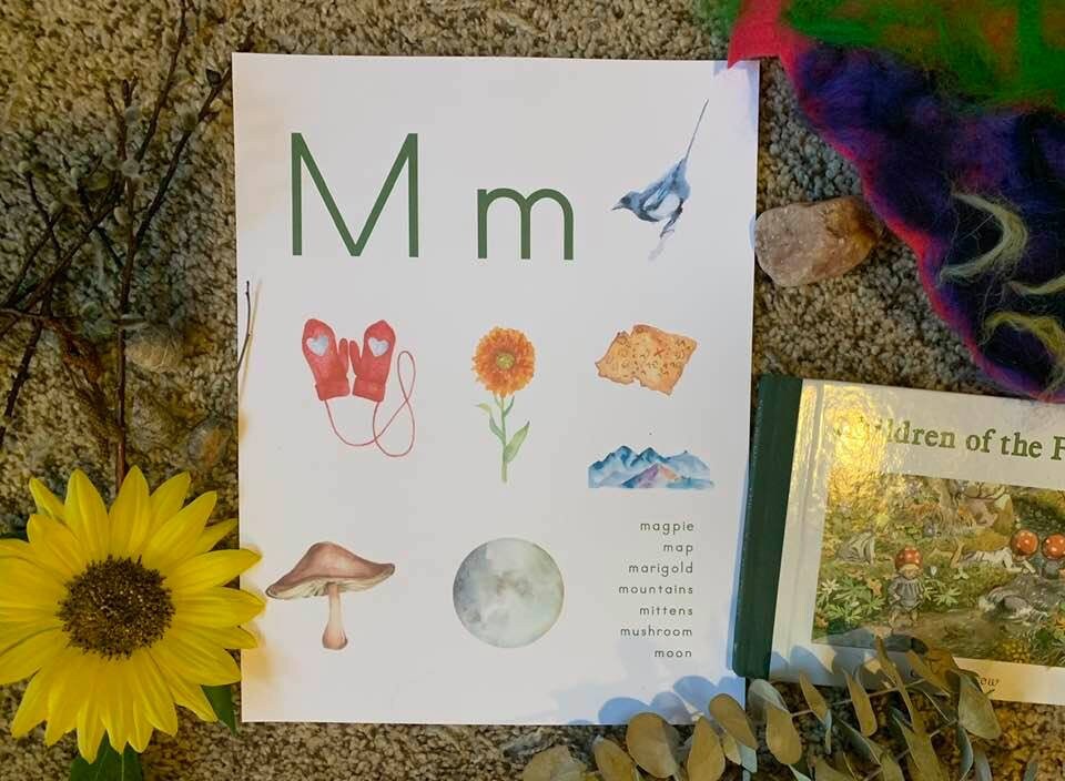 A-M Letter Sound Readers, Poster, Montessori Three Part Cards ...