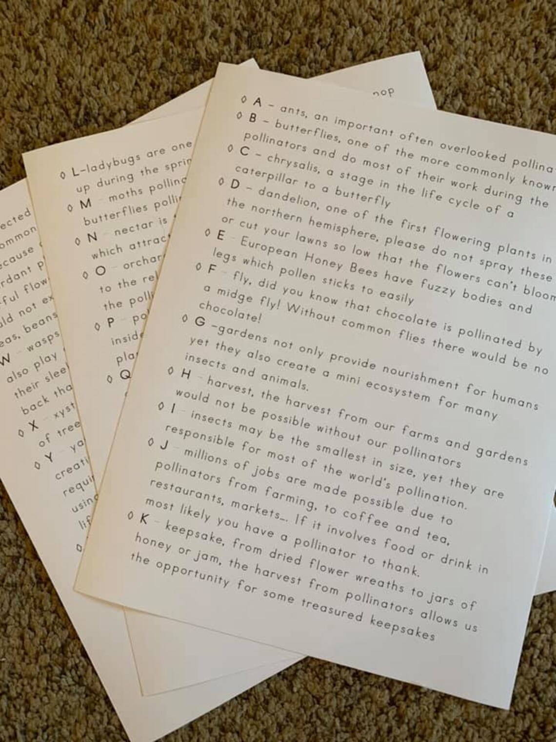 A Pollinator's Alphabet - Etsy