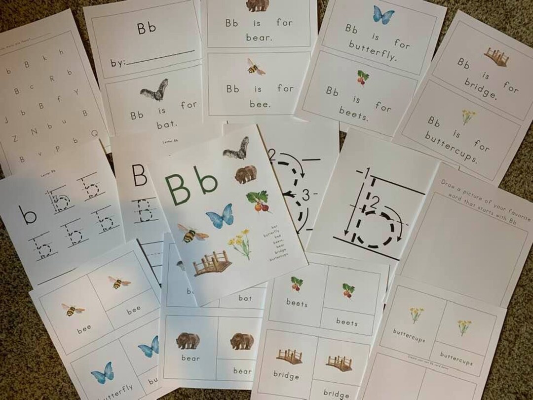 A-M Letter Sound Readers, Poster, Montessori Three Part Cards ...