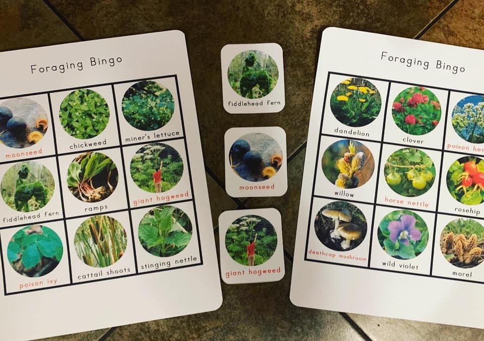 Foraging Learn and Play - Etsy