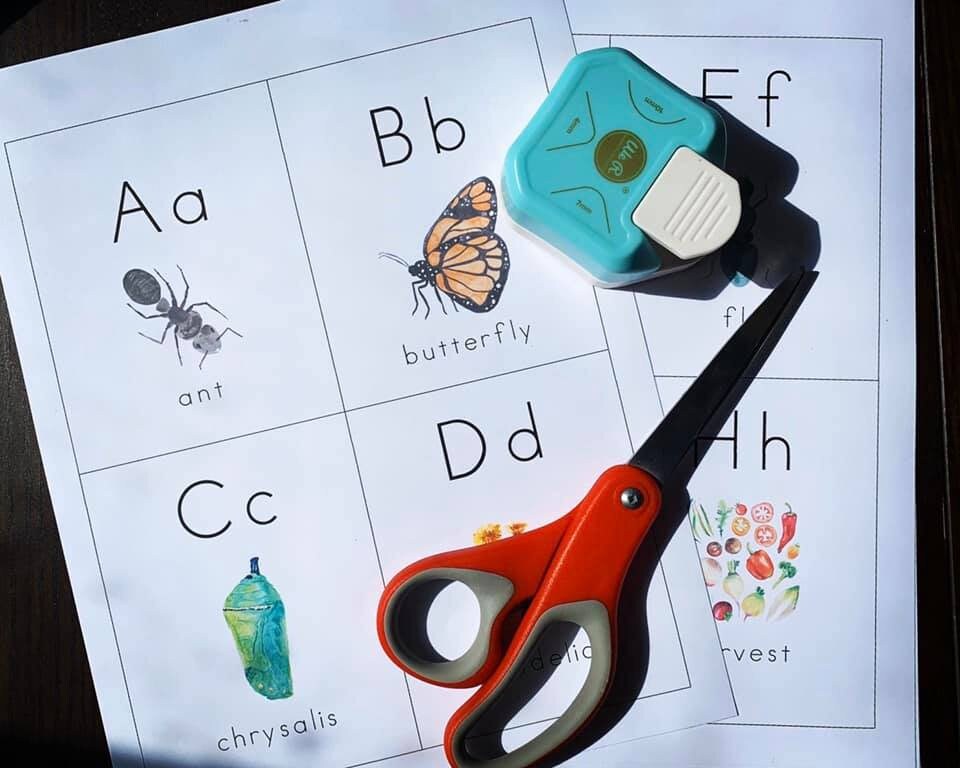 Pollinator ABC Cards Letter Cards ABC Cards Alphabet Flash - Etsy