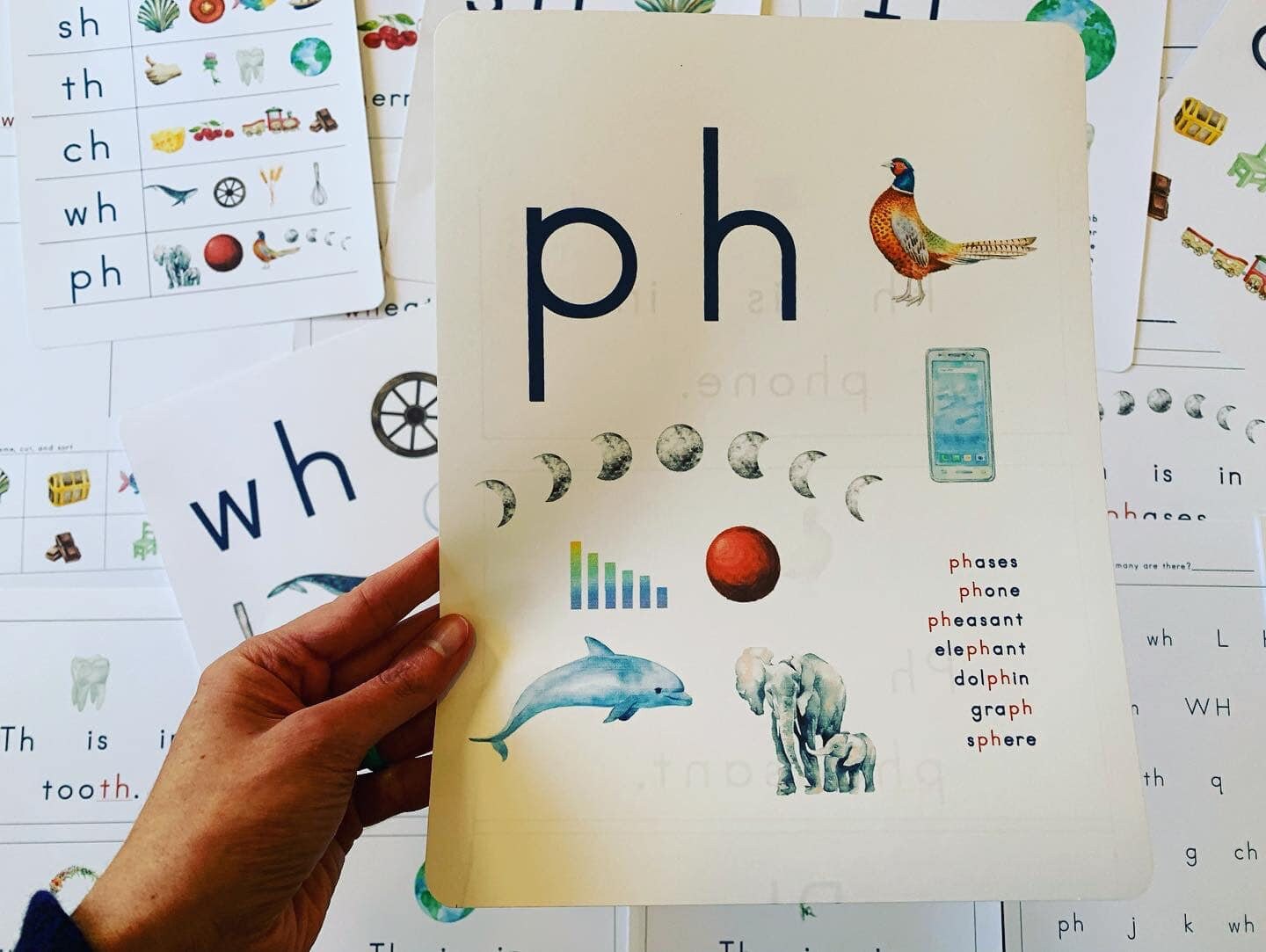 Digraphs Part 1: Sh, Th, Ch, Ph, Wh - Etsy