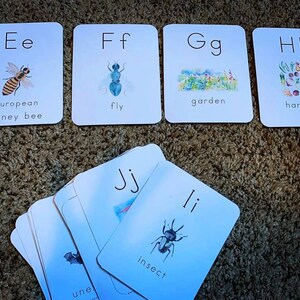 Pollinator ABC Cards, Letter Cards, ABC Cards, Alphabet Flash Cards ...