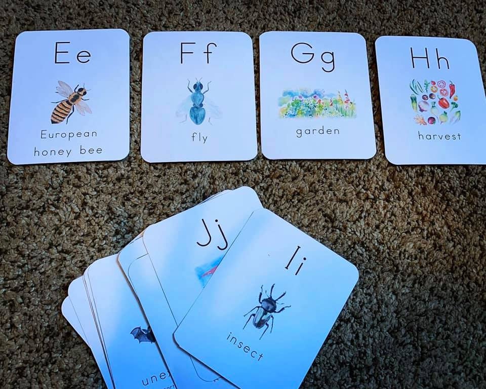 Pollinator ABC Cards, Letter Cards, ABC Cards, Alphabet Flash Cards ...