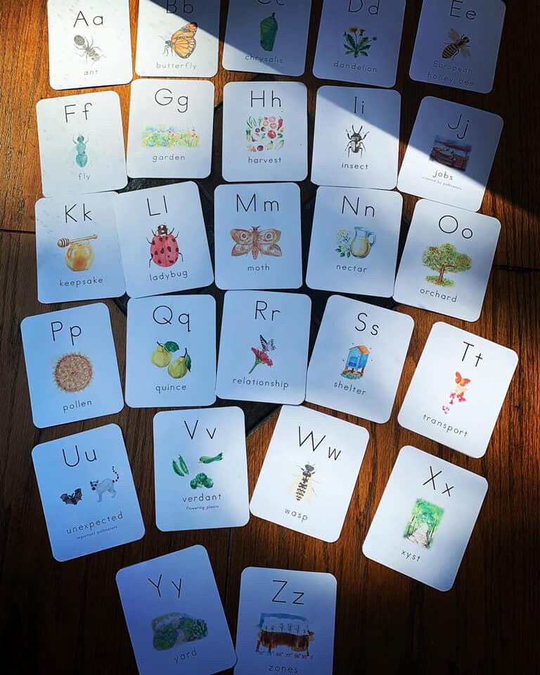 Pollinator ABC Cards, Letter Cards, ABC Cards, Alphabet Flash Cards ...