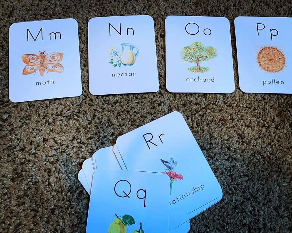 Pollinator ABC Cards, Letter Cards, ABC Cards, Alphabet Flash Cards ...