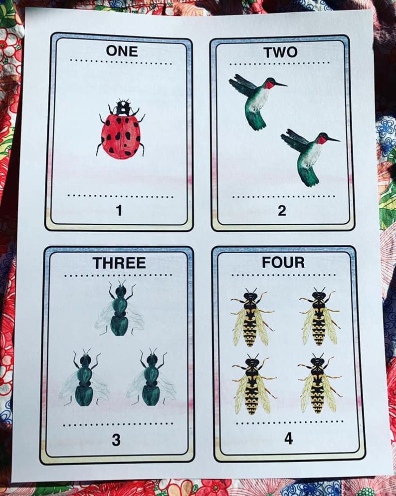 Pollinator Number Cards 1-10, 3 Different Sets - Etsy