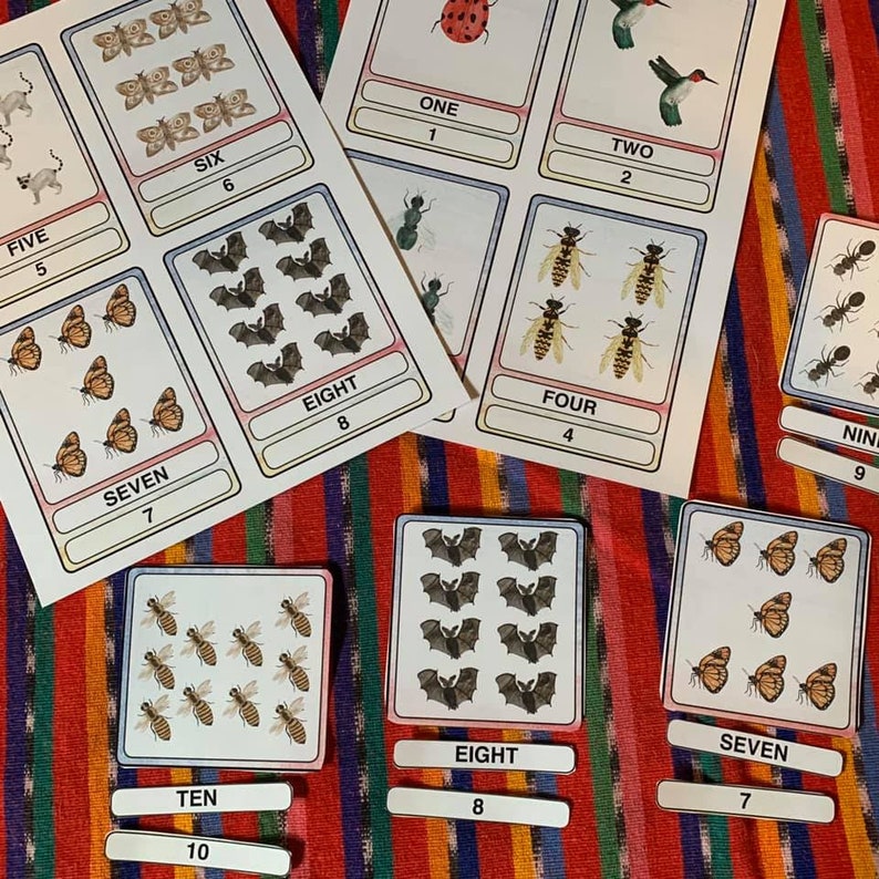 Pollinator Number Cards 1-10, 3 Different Sets - Etsy