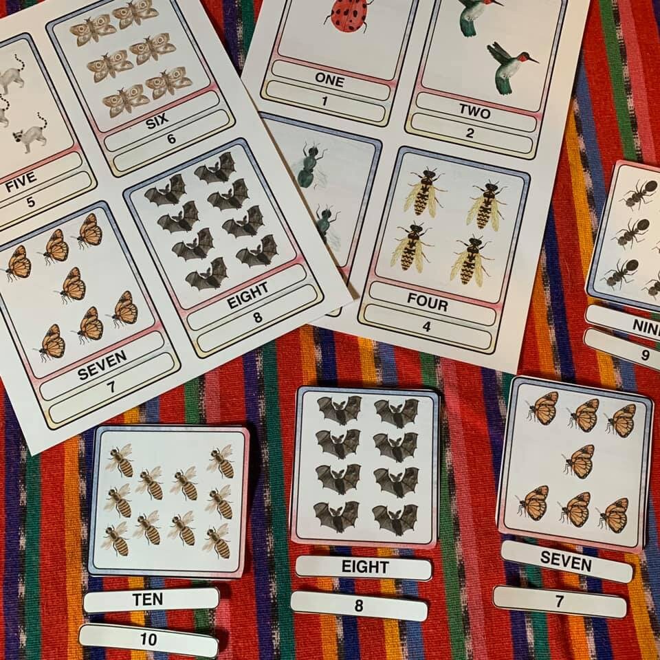 Pollinator Number Cards 1-10 3 Different Sets - Etsy