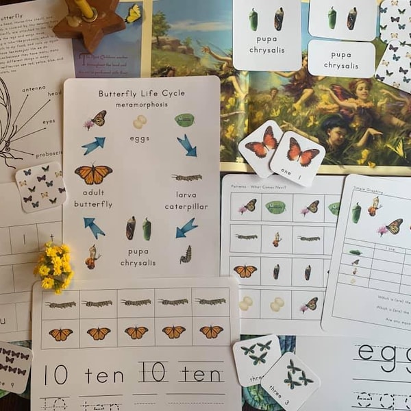 Butterfly Life Cycle - Etsy