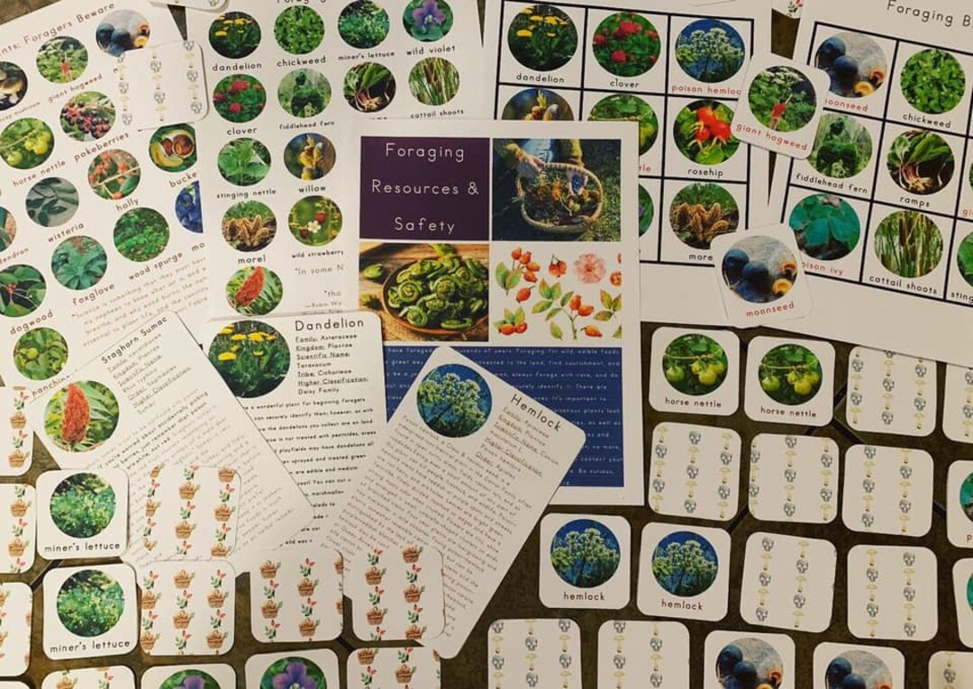 Foraging Learn and Play - Etsy