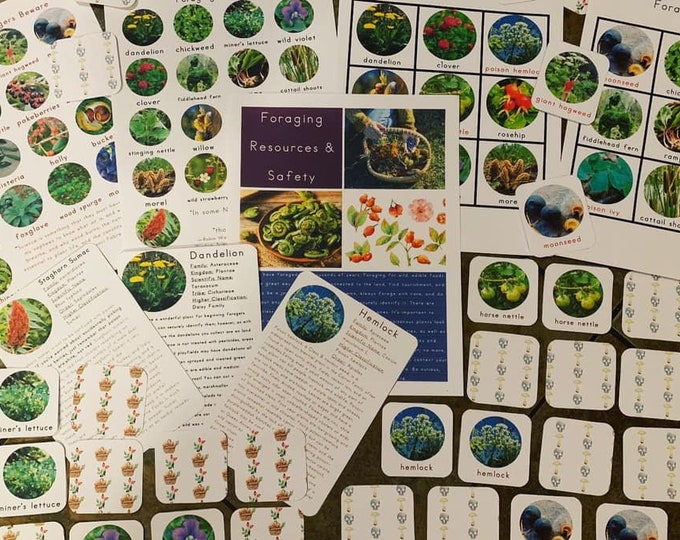 Gatherer: A Pocket Foraging Guide by Isabella Rotman - Etsy