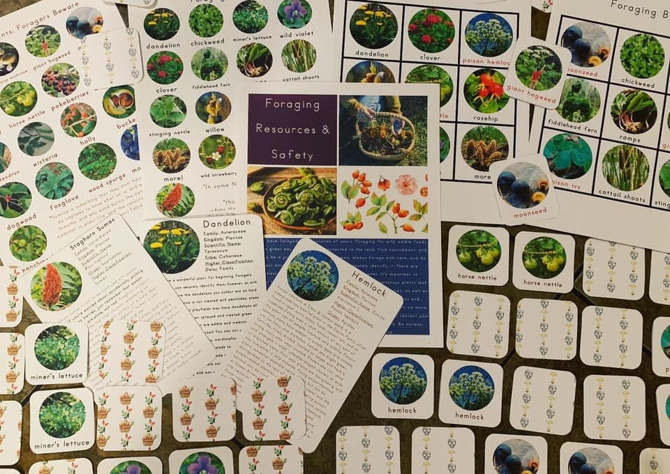 Foraging Learn and Play - Etsy