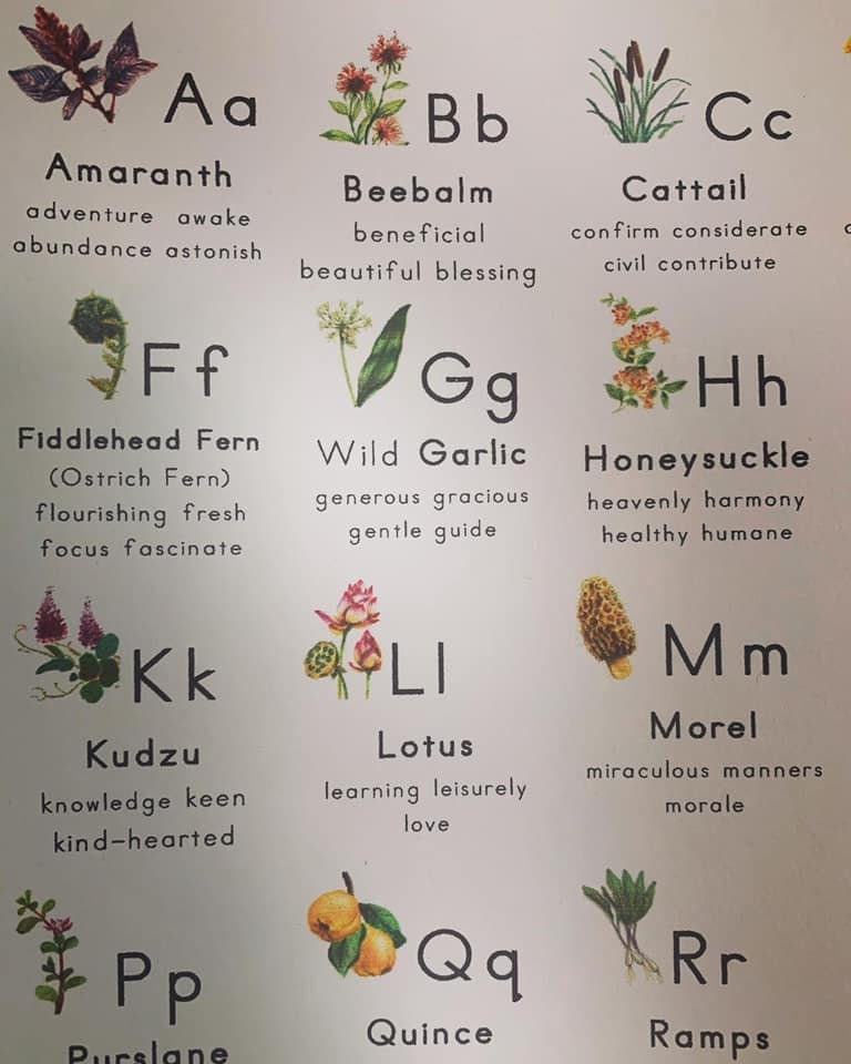A Forager's Alphabet - Etsy