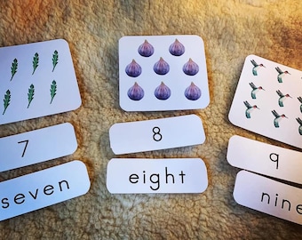 Montessori Numeral Cards - Etsy