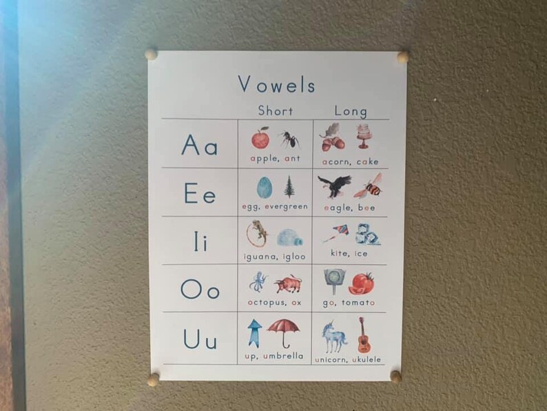 Vowels - Short and Long, Poster for Decoration and Learning Resource as ...
