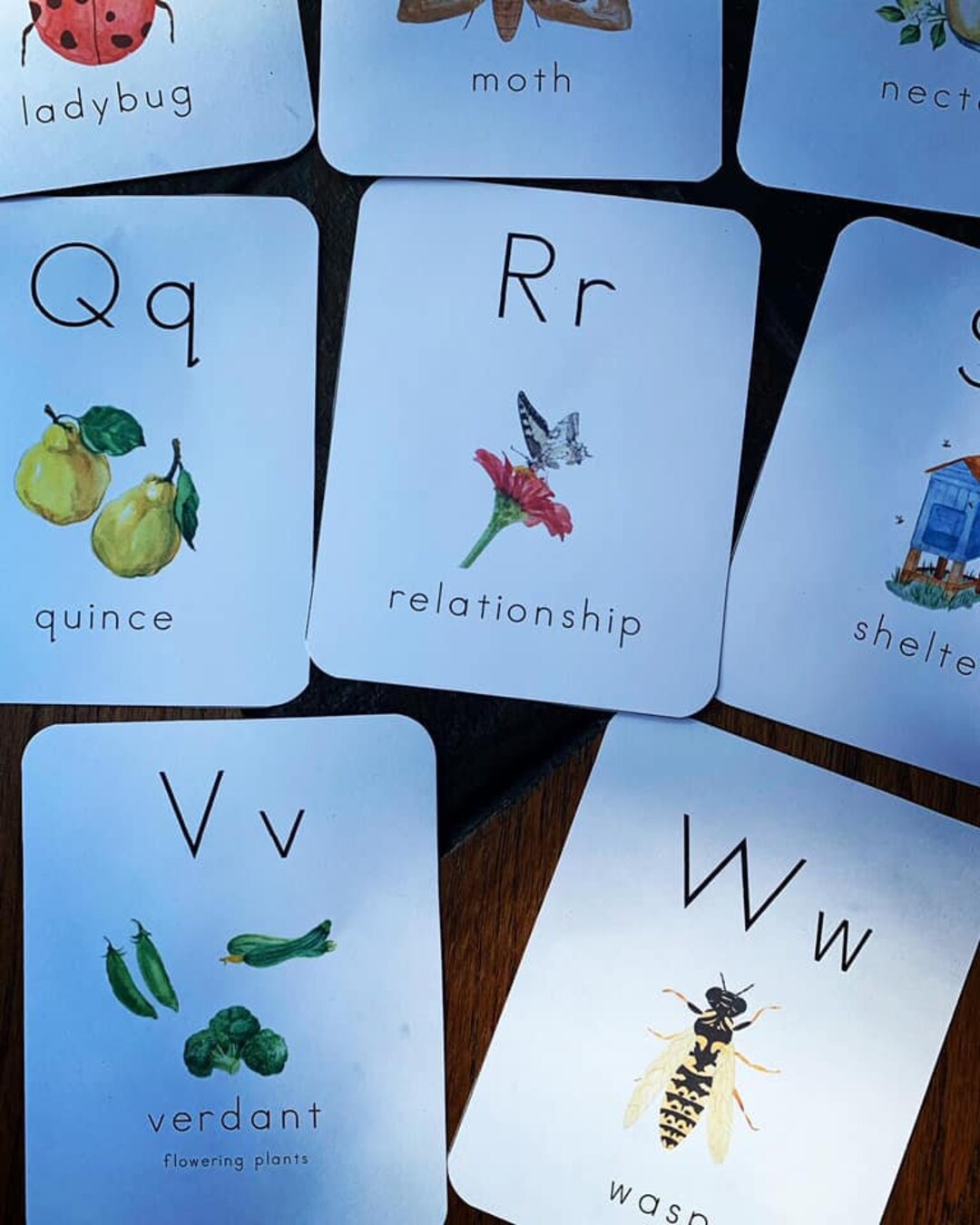 Pollinator ABC Cards, Letter Cards, ABC Cards, Alphabet Flash Cards ...