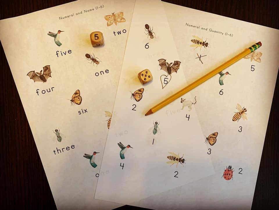 3 Parts of a Number Dice Game 1-6 and 2-12 Options With - Etsy