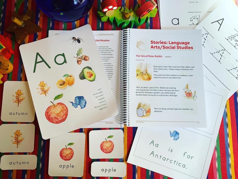 A-M Letter Sound Readers, Poster, Montessori Three Part Cards ...