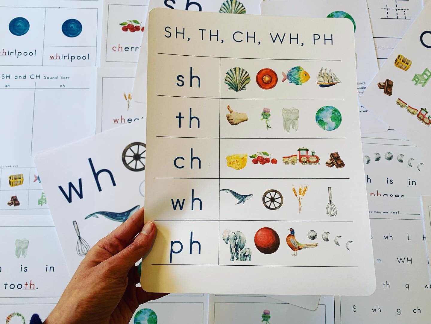 Digraphs Part 1: Sh, Th, Ch, Ph, Wh - Etsy