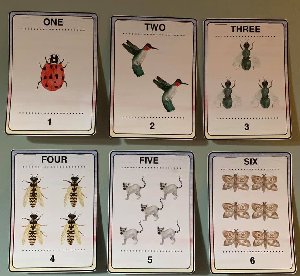Pollinator Number Cards 1-10 3 Different Sets - Etsy
