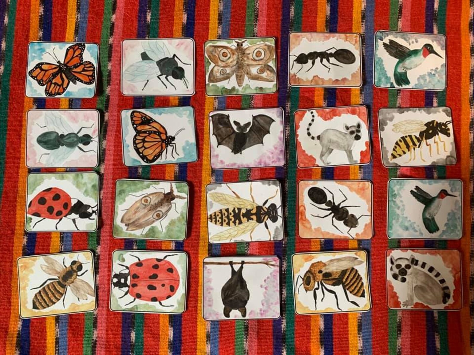 Pollinator Memory Matching Game, Info Cards, and Compare and Contrast ...