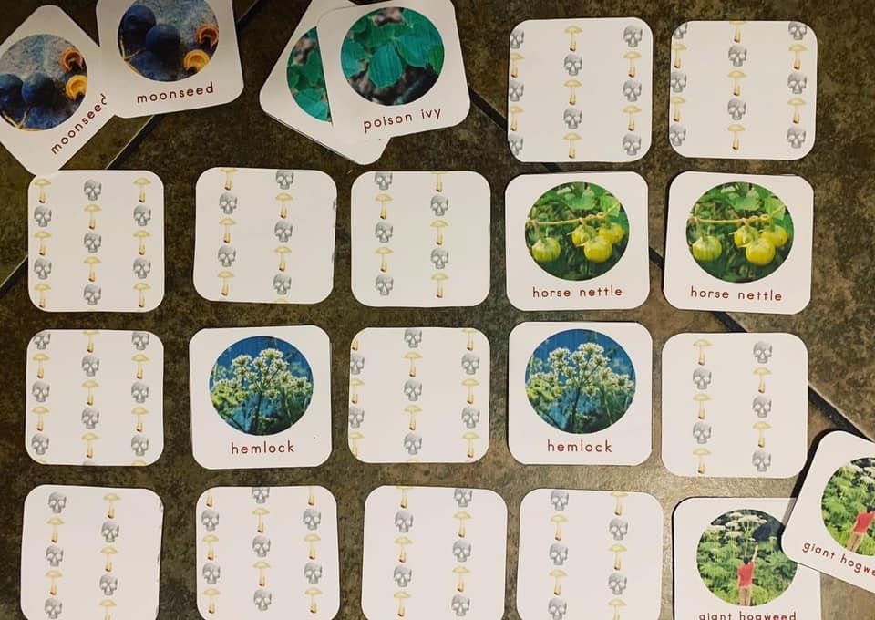 Foraging Learn and Play - Etsy