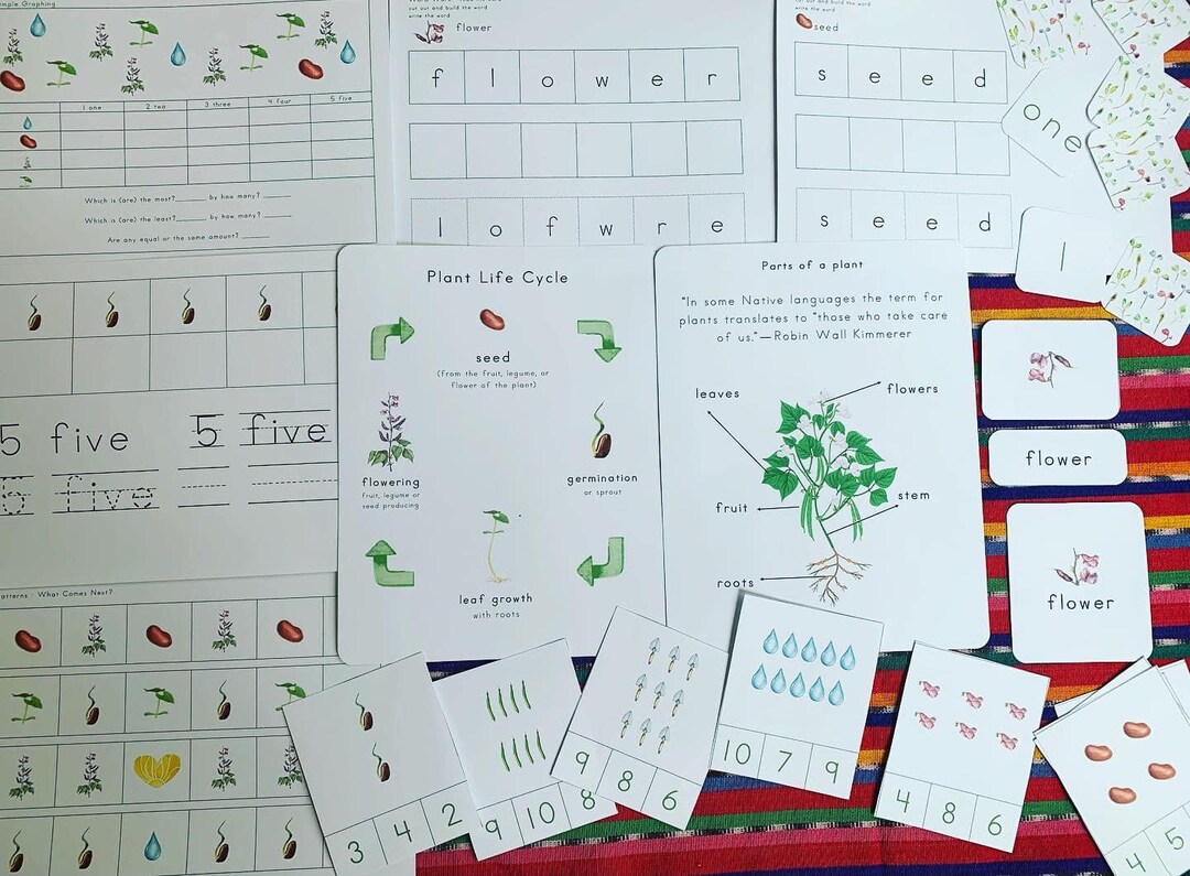 Plant Life Cycle Learn and Play - Etsy