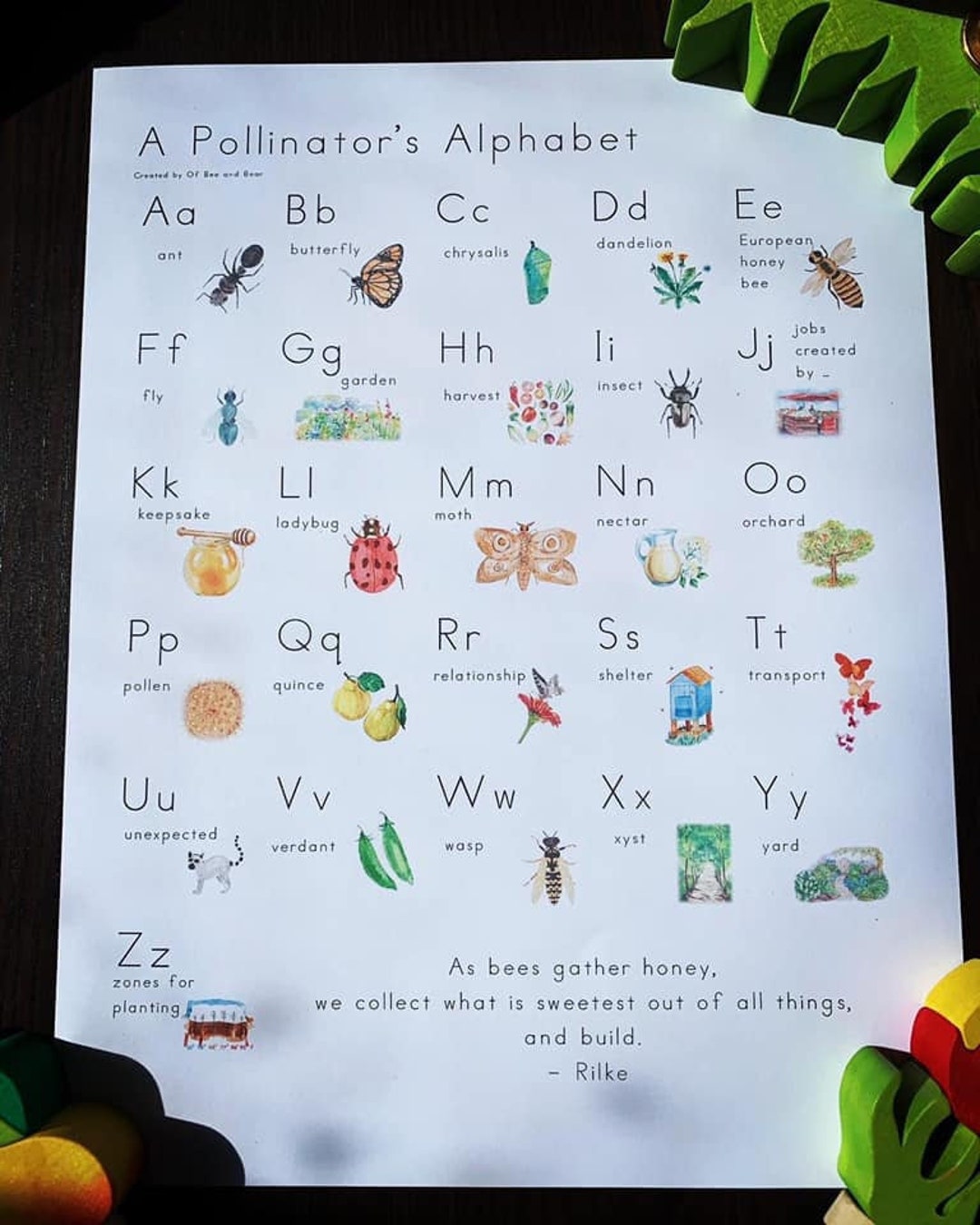 A Pollinator's Alphabet - Etsy