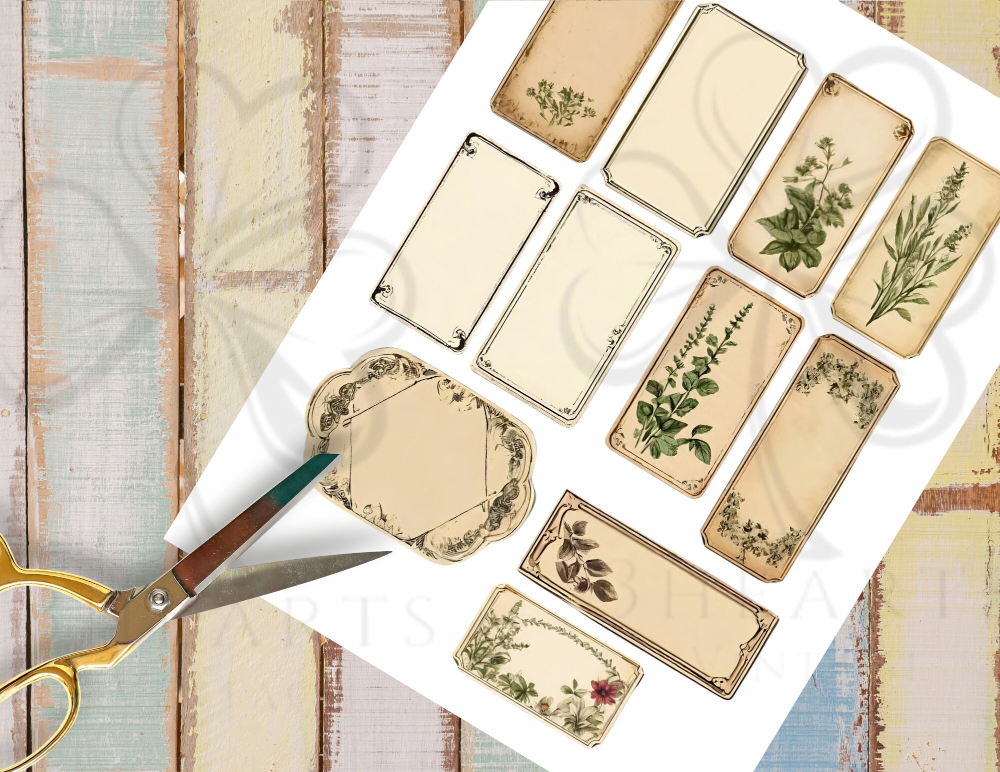 Herbal Labels, Botanical Labels, Digital Label Kit, Vintage, Blank ...