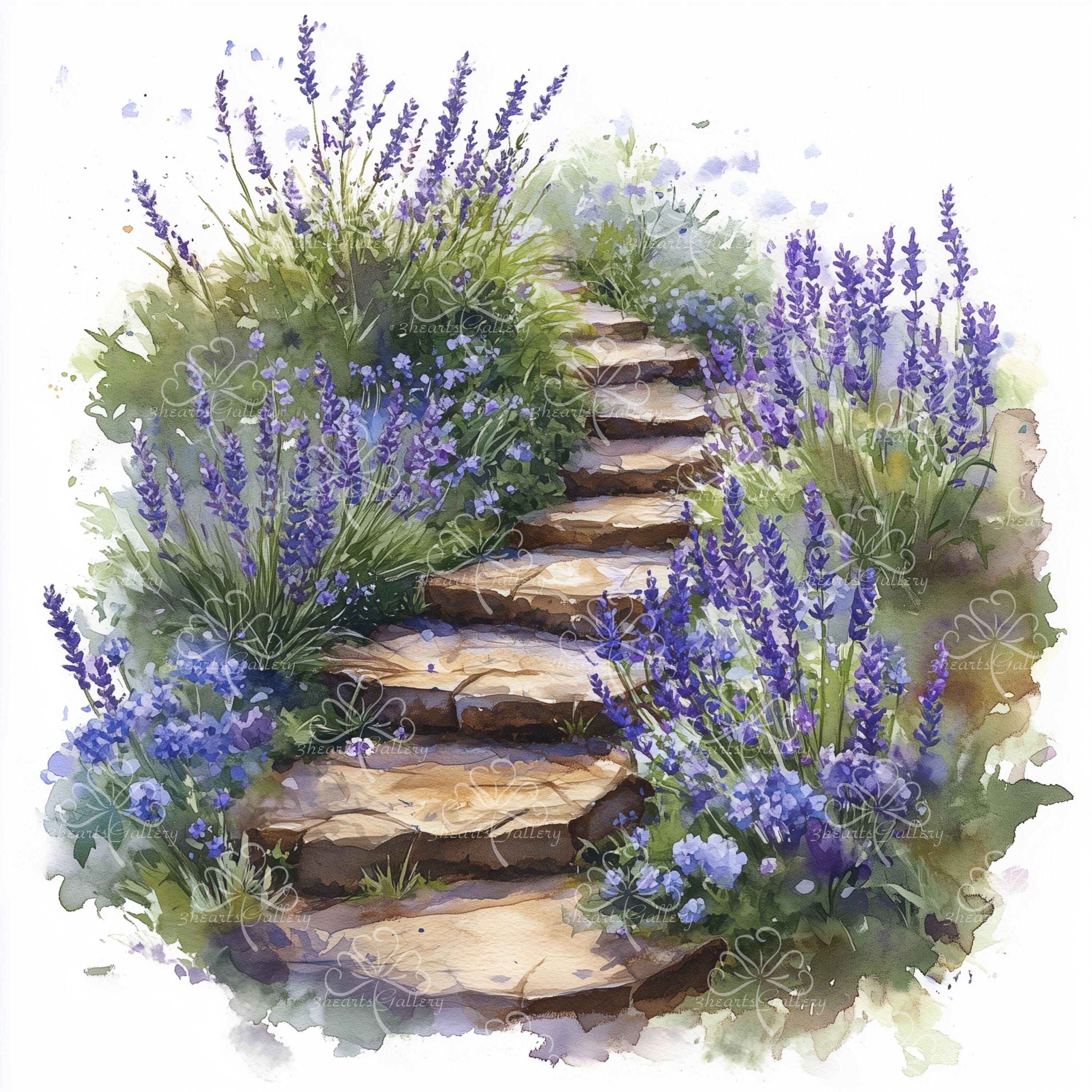 20 Lavender and Bluebells Pathway Clipart | Spring Illustration Design ...