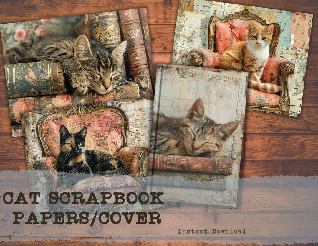 Cat Shabby Scrap Papers, Scrapbook Cover and Papers Junk Journal Pages ...