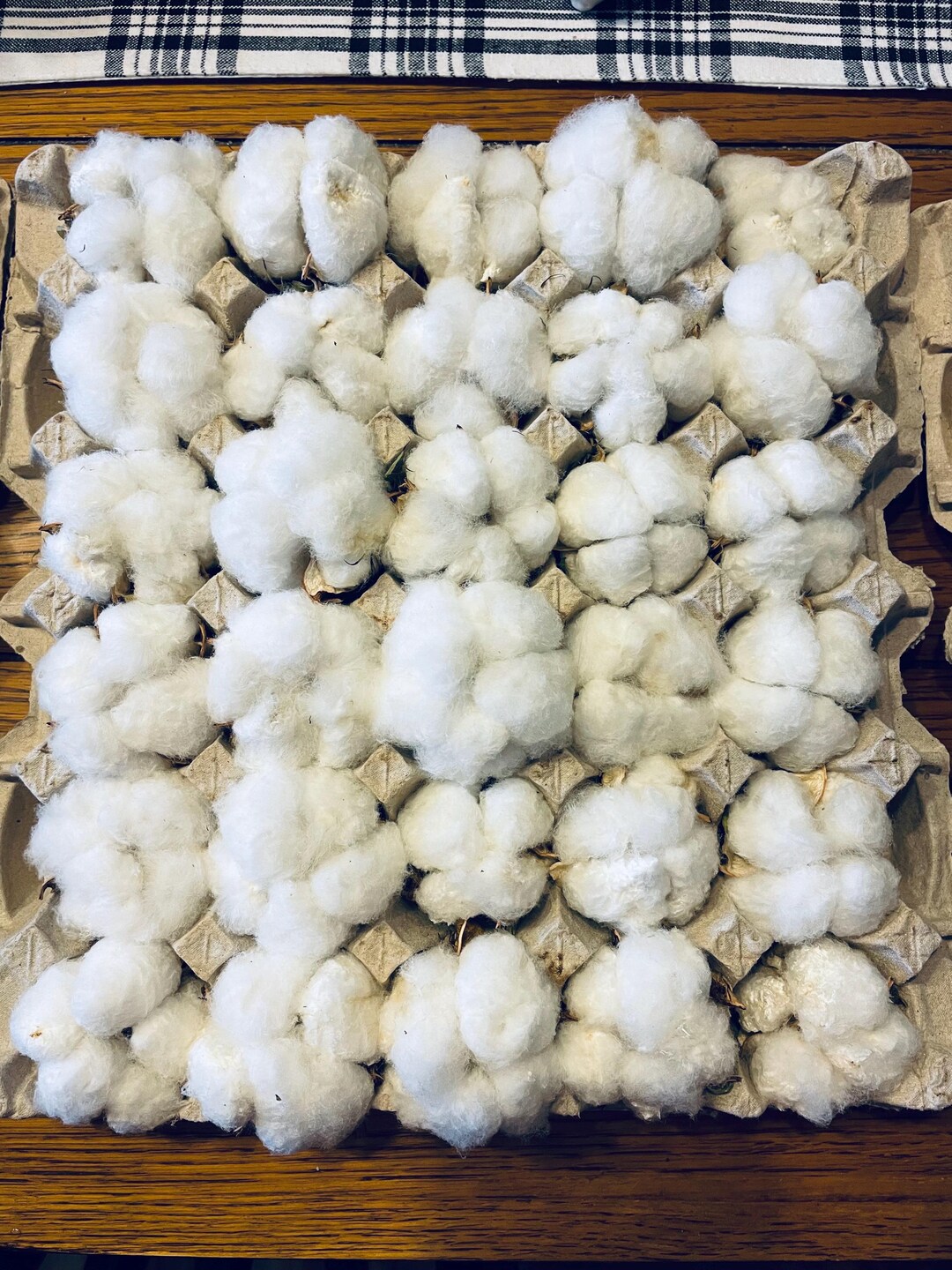 Natural White Dried Cotton Bolls, Kentucky Farm Grown - Etsy