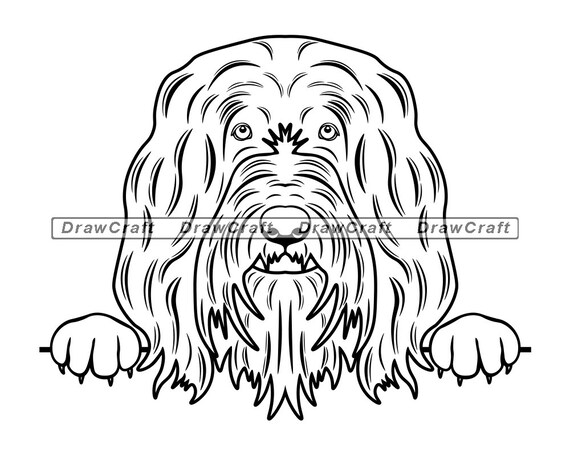 Peeking Bearded Collie SVG Bearded Collie SVG Peeking Dogs | Etsy