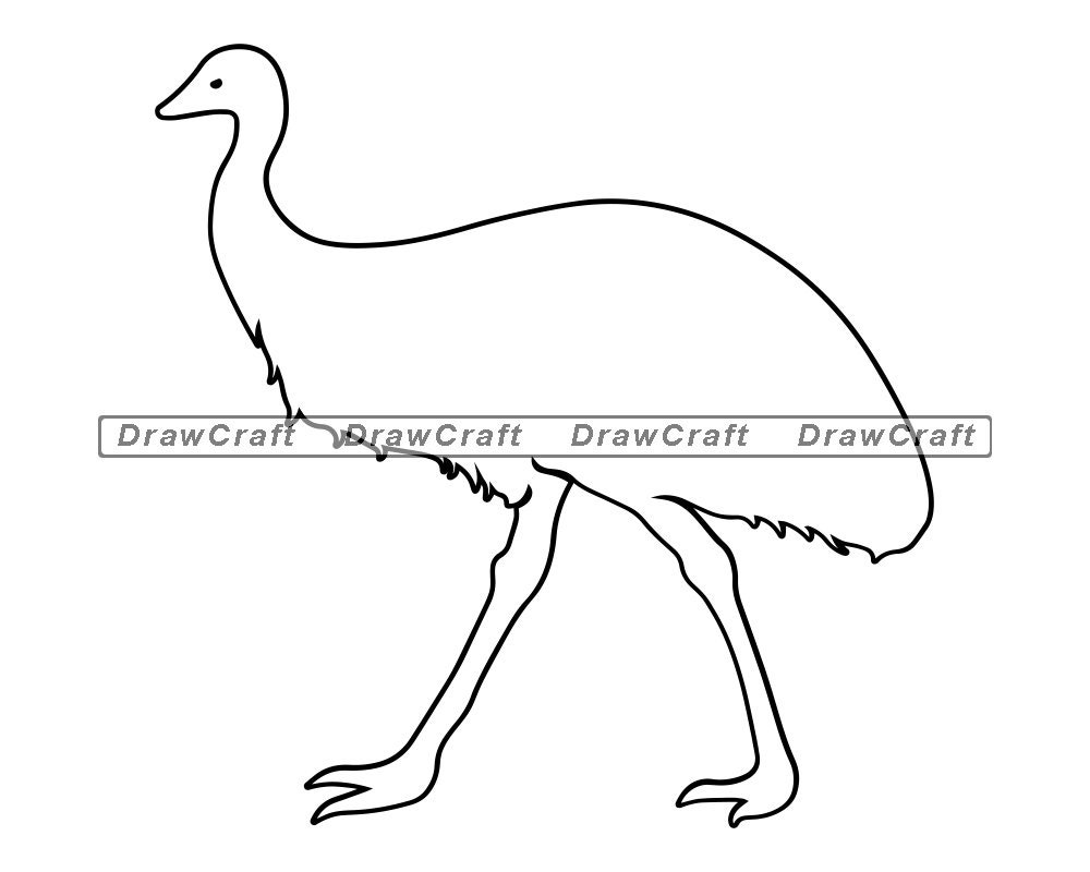 Walking Emu Outline Svg Emu Svg Animals Svg Safari | Etsy