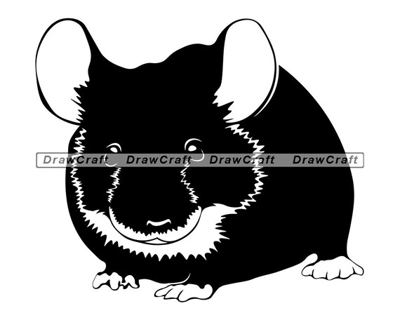 Mouse 5 SVG Mouse SVG Mouse PNG Mouse Design Mouse | Etsy