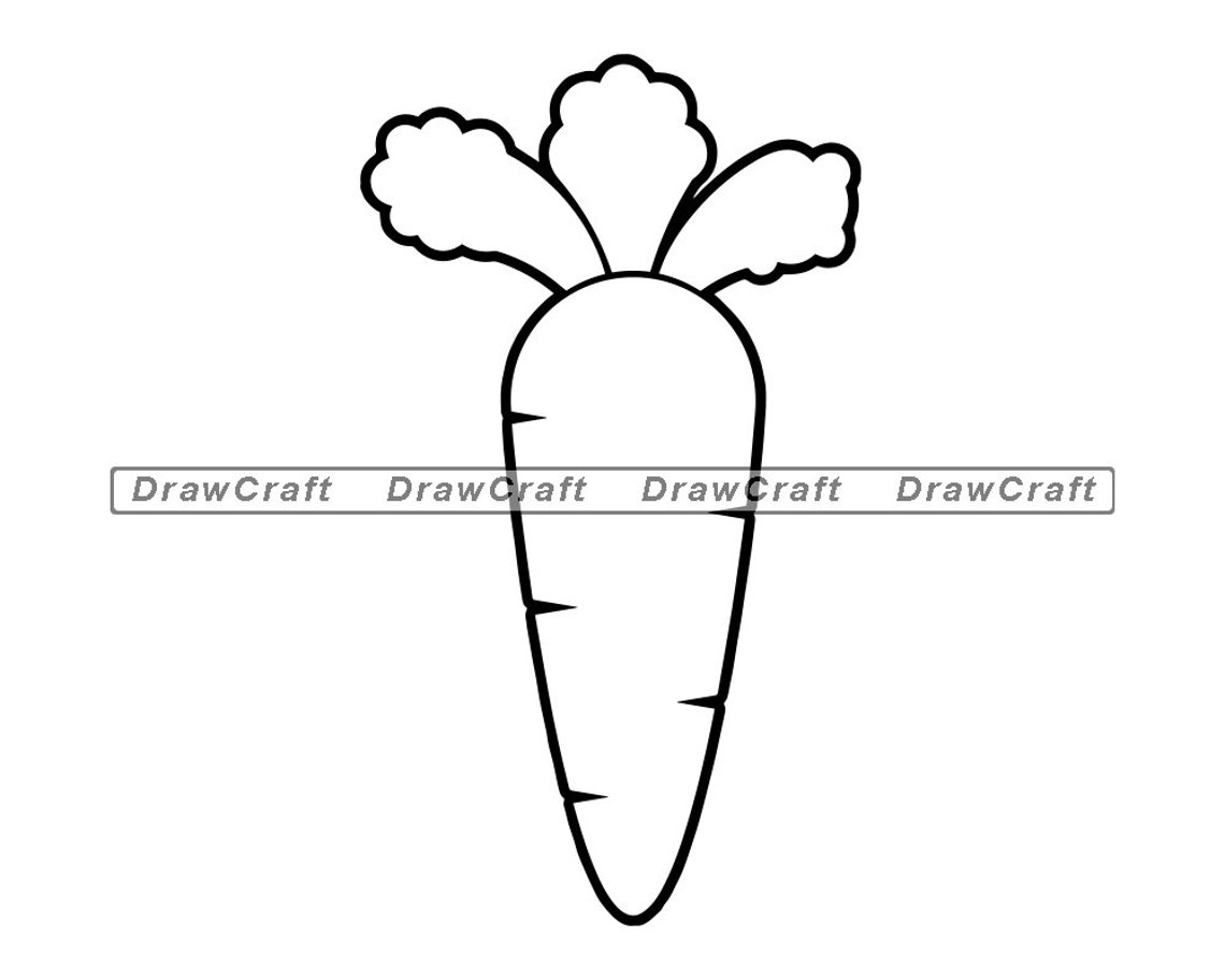 Carrot Outline Svg Carrot Svg Carrot Logo Svg Vegetable | Etsy