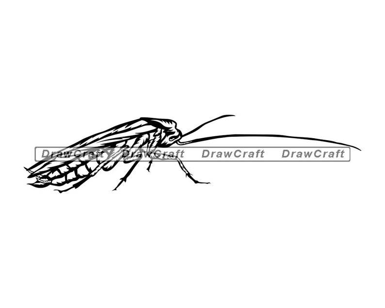 Visual Arts Craft Supplies & Tools Cockroach #2 SVG Cockroach Png ...