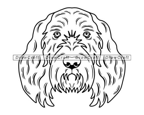 Spinone Italiano Head SVG Spinone Italiano Svg Dog Svg | Etsy